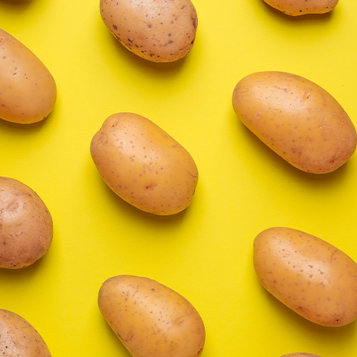 Produkte - SAPROS GmbH