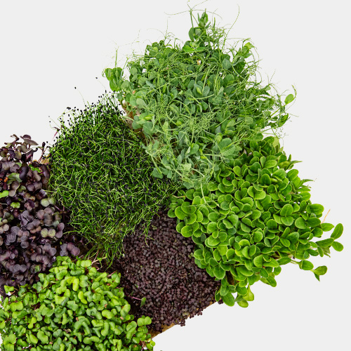 Produkte - SAPROS GmbH